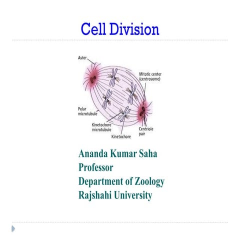 Cell Division in Short which can help you to explore more Biology. | PPTX