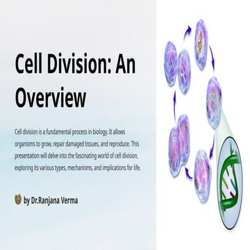 Cell-Division (Mitosis and meiosis)-An-Overview.pptx