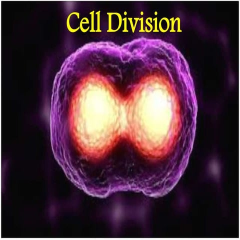 Cell Division | PPT