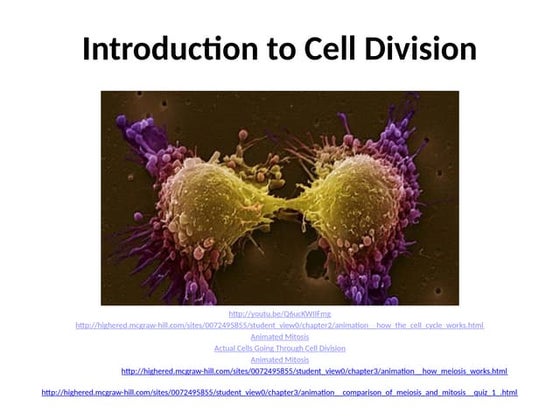 Cell Cycle Mitosis AQA GCSE Biology.pptx