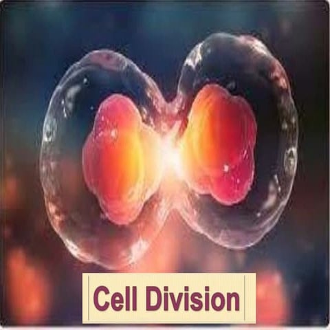 cell-division and Dna replication and transcription | PPTX