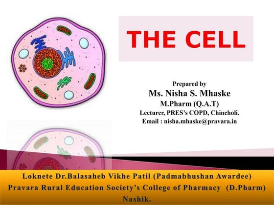 Cellular leval of organization | PPTX | Biological Sciences | Science