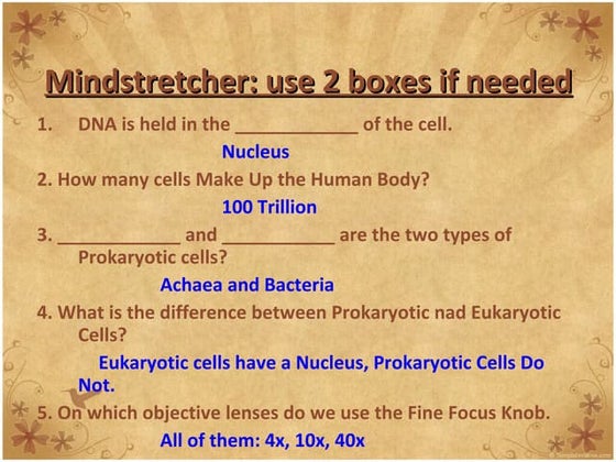 Cell Size Poster | PPTX