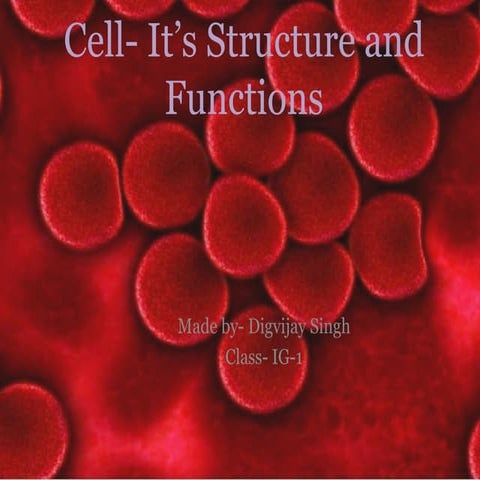 Cell: it’s structure and functions | PPTX