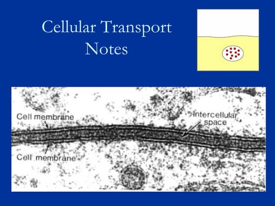 Cellular transport | PPT | Chemistry | Science