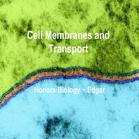 Honors Biology: Cell Membrane ~ Diffusion And Osmosis | PPT