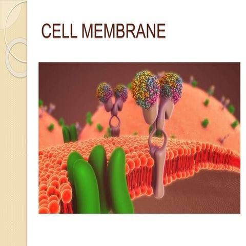 Cell membrane Physiology | PPTX