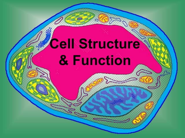Cell and cell organelles | PPTX
