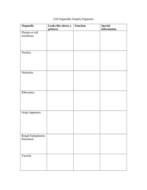 Biology unit 2 cells organelle notes template worksheet | PPT