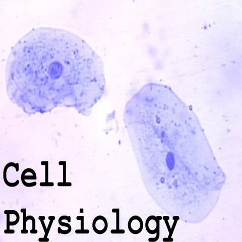 Cell Physiology Basics | PDF