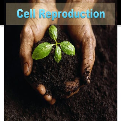 Cell reproduction (part 1) | PPT