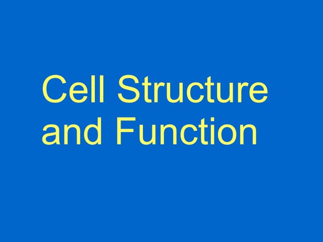 Lesson 3 Prokaryotic vs Eukaryotic Cell | PDF