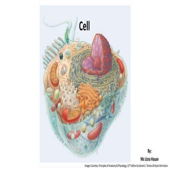 Cell Anatomy And Function Cell Structure & Function (Fundamentals Of