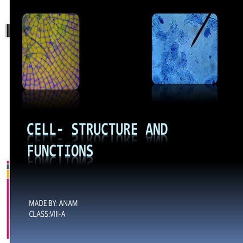 Cell - structure and functions | PPTX | Biological Sciences | Science