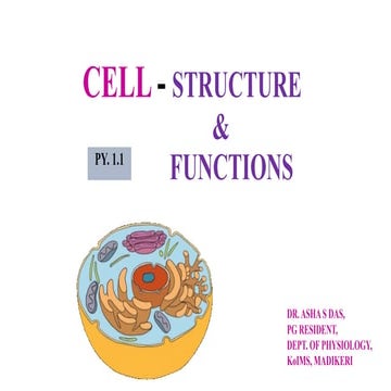 Pancreatic juice and functions PPT asha... | PDF