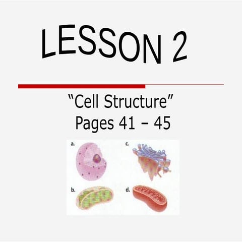 Cell-structures-lesson2.pptx Cellllllllll | PPT