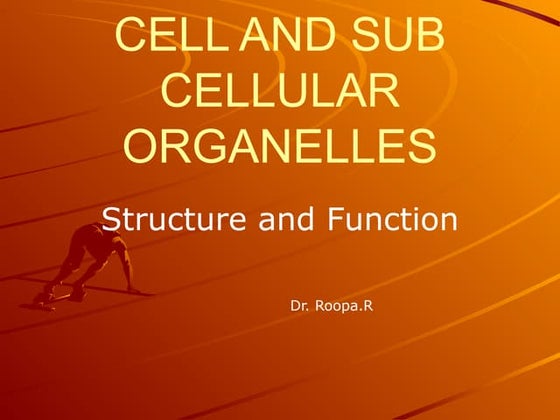 Structure of a human cell | PPT