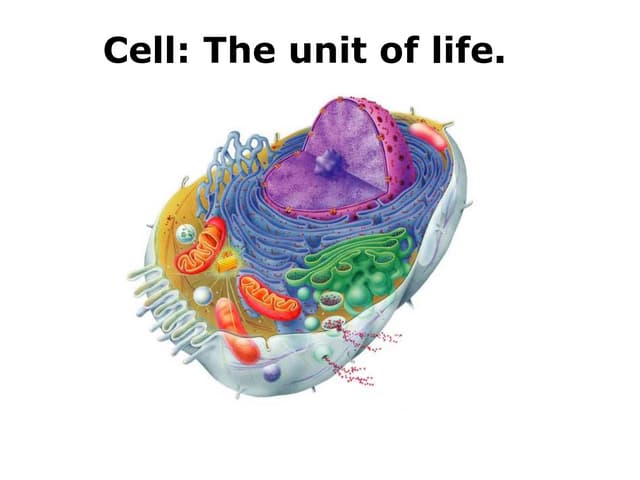 cells-tissues-organs-and-systems OF BODY.ppt