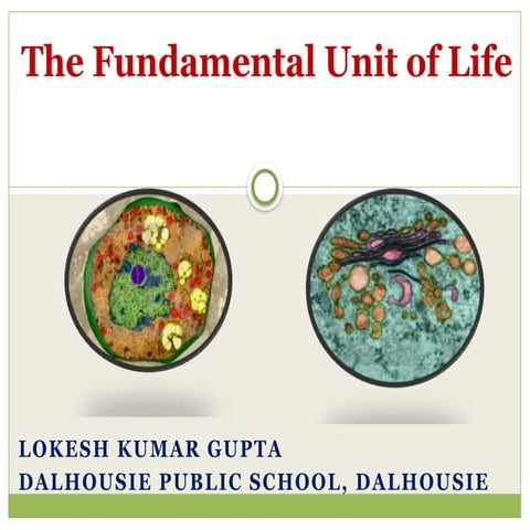 Comprehensive Overview of The Fundamental Unit of Life: Cells and Their ...