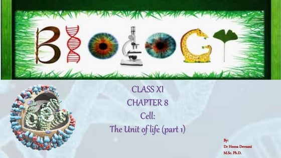 Structure of cell | PPT