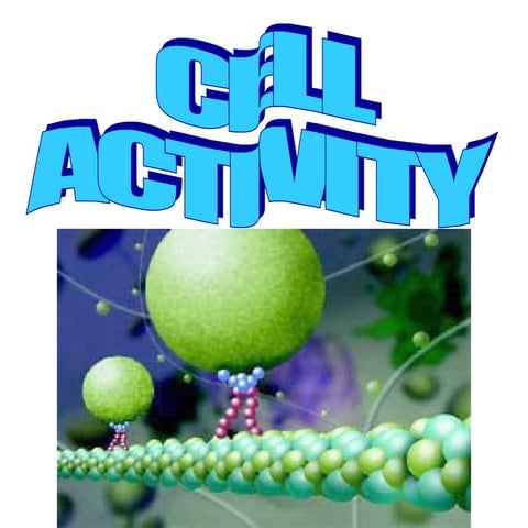 Cell Activity.ppt