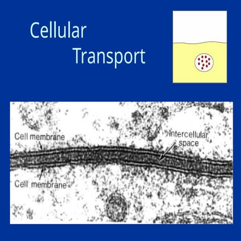 CELL-TRANSPORT TYPES AND DEFINITIONS.pptx