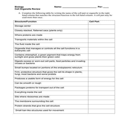 Biology - Cell City Analogy | DOC