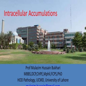 Cell accumulations foundation block pathology | PPTX
