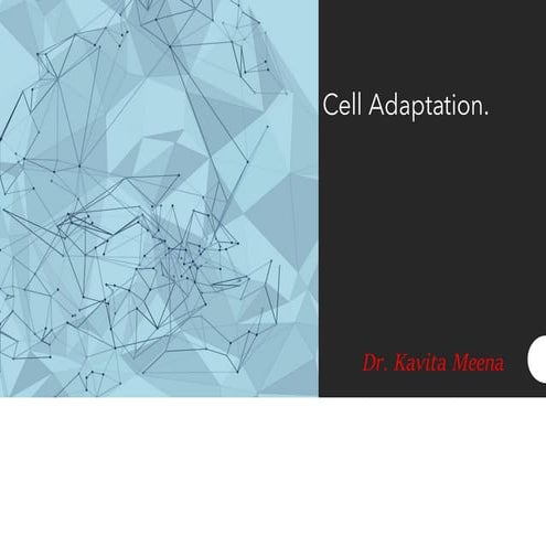 Cell Adaptation, physiology and pathology....pdf