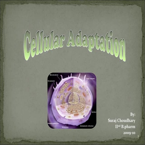 Cell Adaptation | PPT