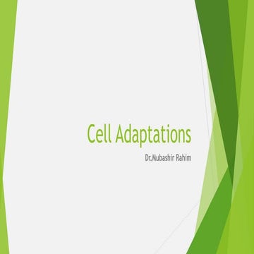 Cell Adaptations.pptxCell Adaptations.pptx