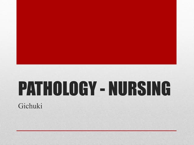 Physical Assessment Techniques (IPPA) pdf | PPTX | Medical Tests ...