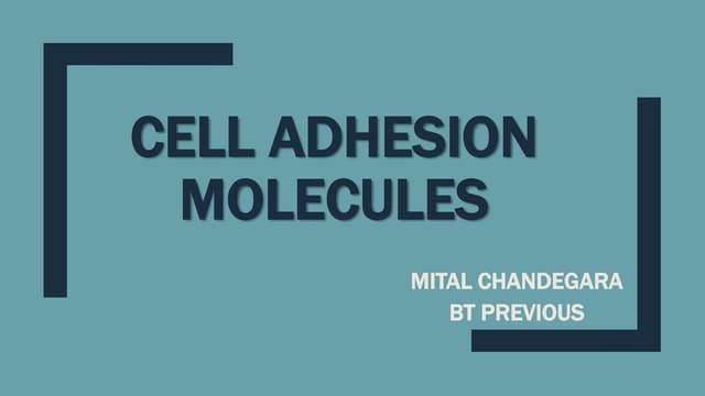 cell adhesion molecules | PPTX