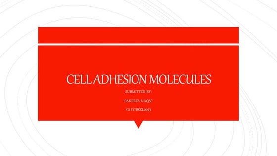 cell adhesion molecules | PPTX