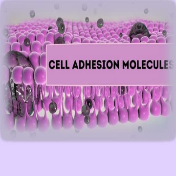 Pancreatic juice and functions PPT asha... | PDF