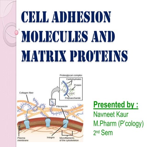 Cell adhesion molecules and matrix proteins | PPTX
