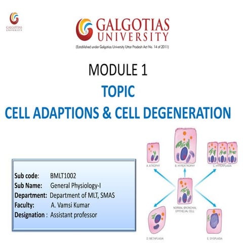 Cell adoptions and cell degeneration | PDF