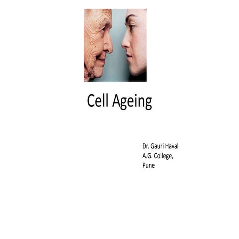Cell ageing ty | PPT