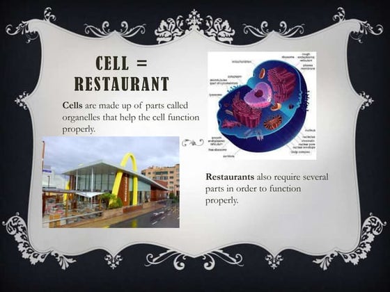 A Cell Is Like A School[1] | PPT