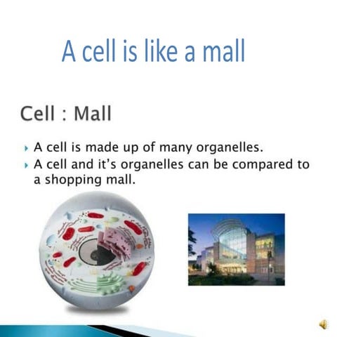 This is a cell analogy to a shopping mall.pptx