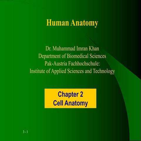 Cell Anatomy.ppt
