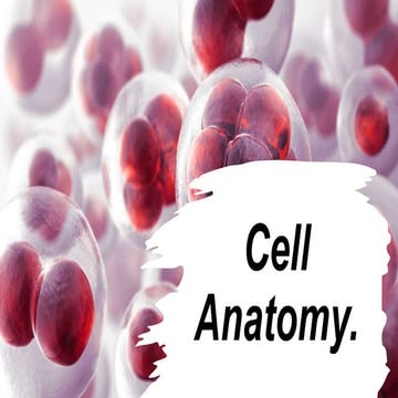 Cell anatomy.pptx