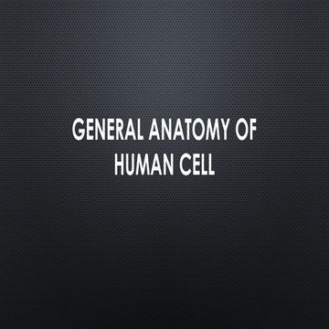 Cell Anatomy ppt presentation human cell | PPTX