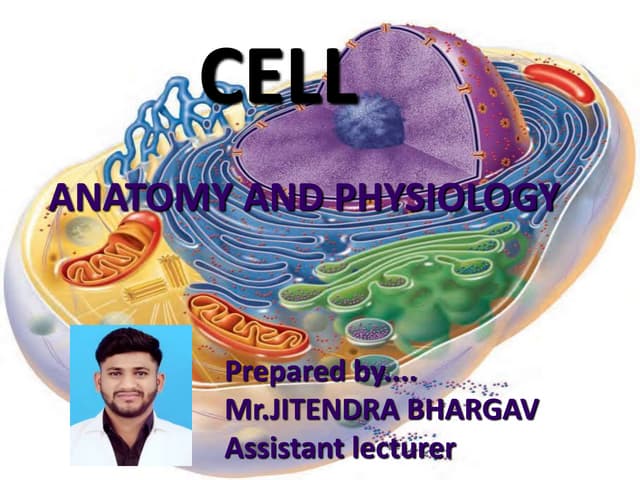 Structure and Functions of Cell.pdf | Biological Sciences | Science