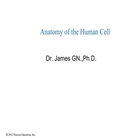 CHAPTER 3: Anatomy and Physiology- Cells and Tissue | PDF
