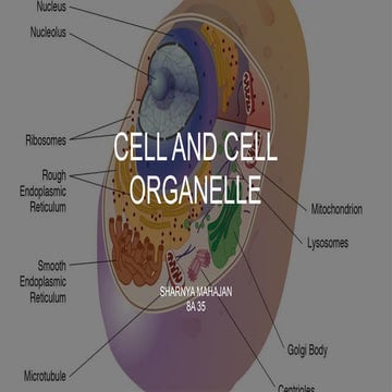 CELL AND CELL ORGANELLES and the Study of them | PPT