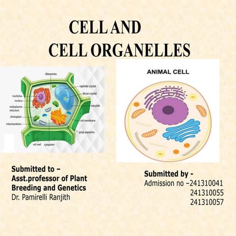 Cell and cell organelles presentation ouat pbg | PPTX