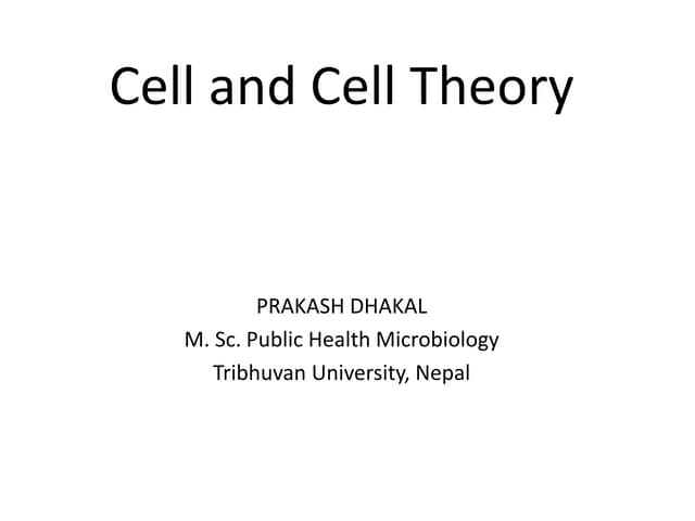 Lesson 3 Prokaryotic vs Eukaryotic Cell | PDF