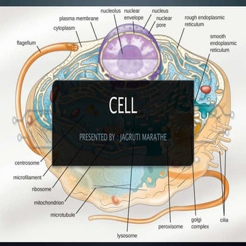 Cell and their function.pptx