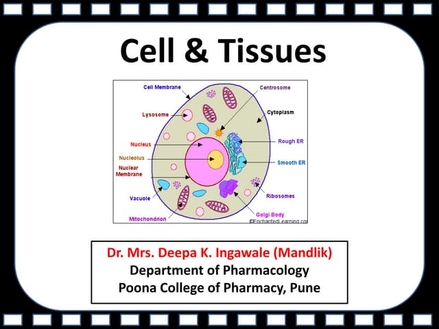 Structure of a human cell | PPTX
